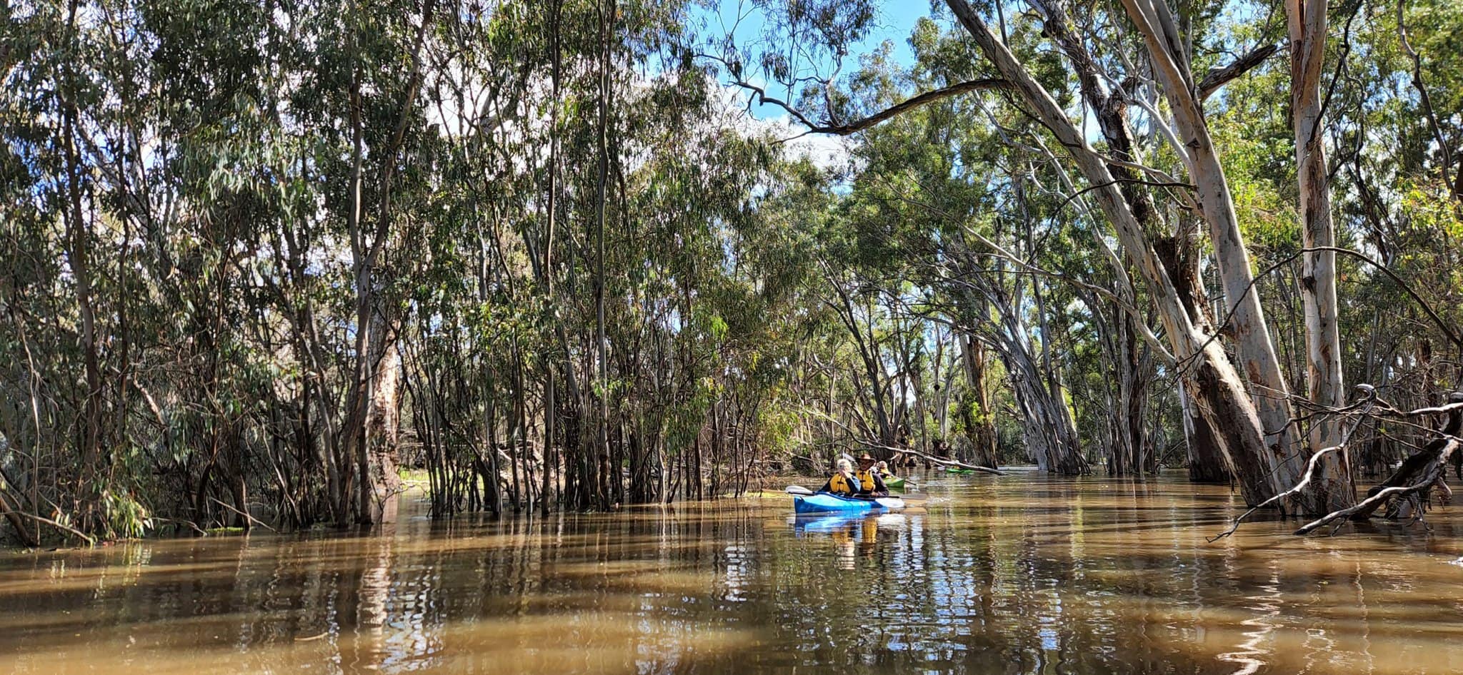 High River Flows Information | Murray River Trails