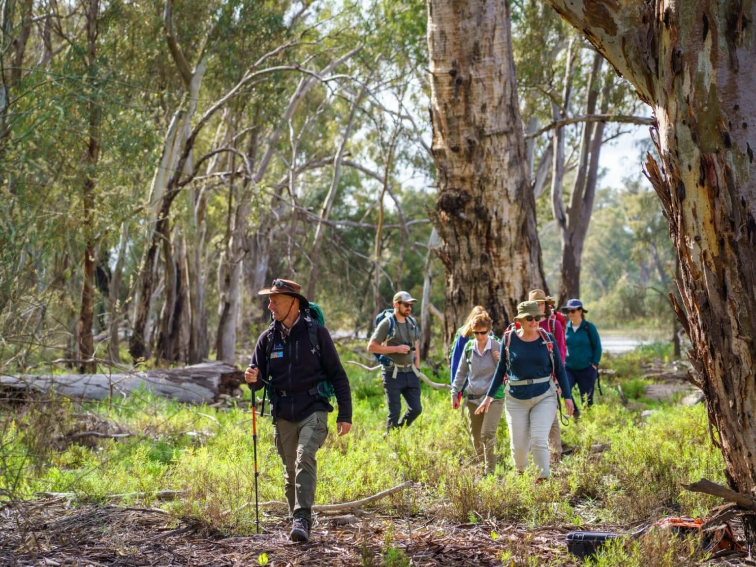 Murray River Walk | Guided Bush Walking Tour | NatGeo Best in the World ...